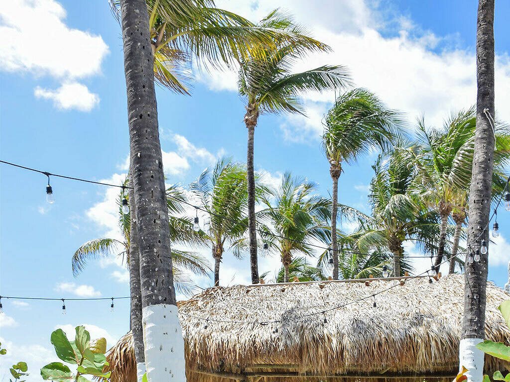 Time Out Miami | Miami Events and Things To Do