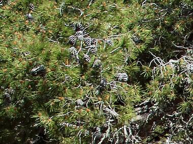 8 platges secretes de Catalunya i els allotjaments des d’on descobrir-les