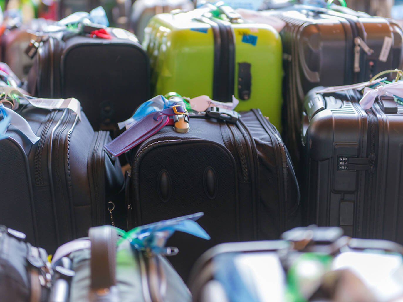 Lost Luggage: What to Do if an Airline Loses Your Bags