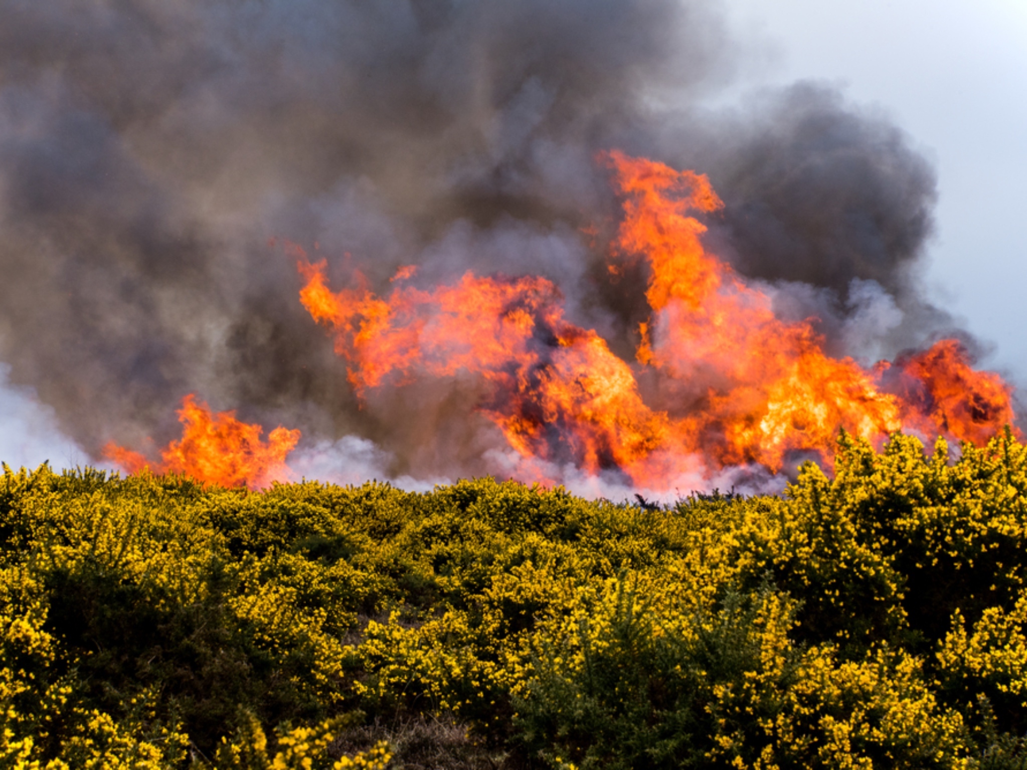 Revealed: the British National Parks Most at Risk of Wildfires