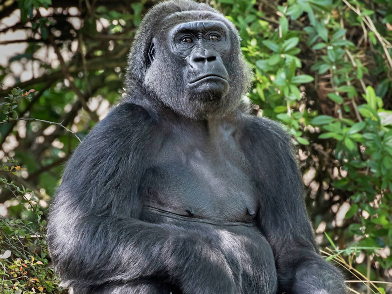 30 Best Zoos in the US For Every Kind of Wildlife Sighting