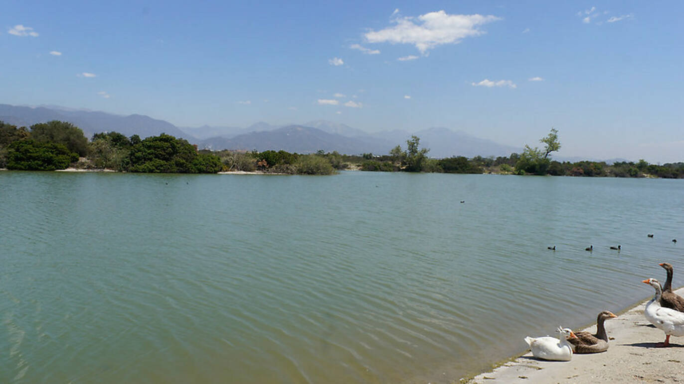 6 Best Lakes Near Los Angeles to Swim, Boat and Hike