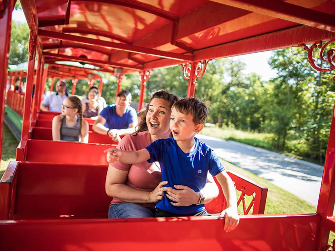 31 Best Zoos in the USA for Connecting with Wildlife