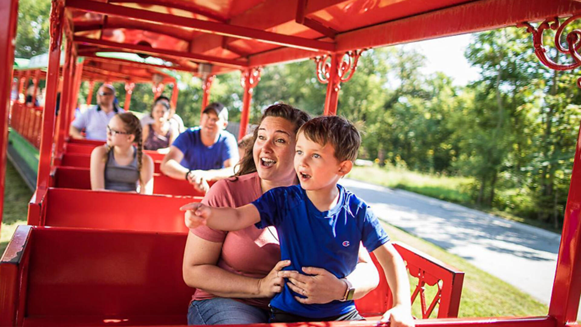 31 Best Zoos in the USA for Connecting with Wildlife