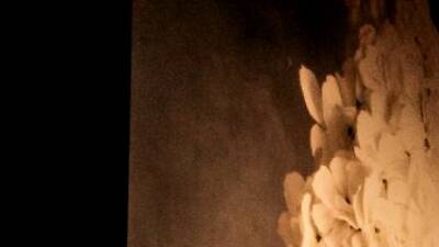 After two decades wowing with fine-dining and waterfront views, Aria ...