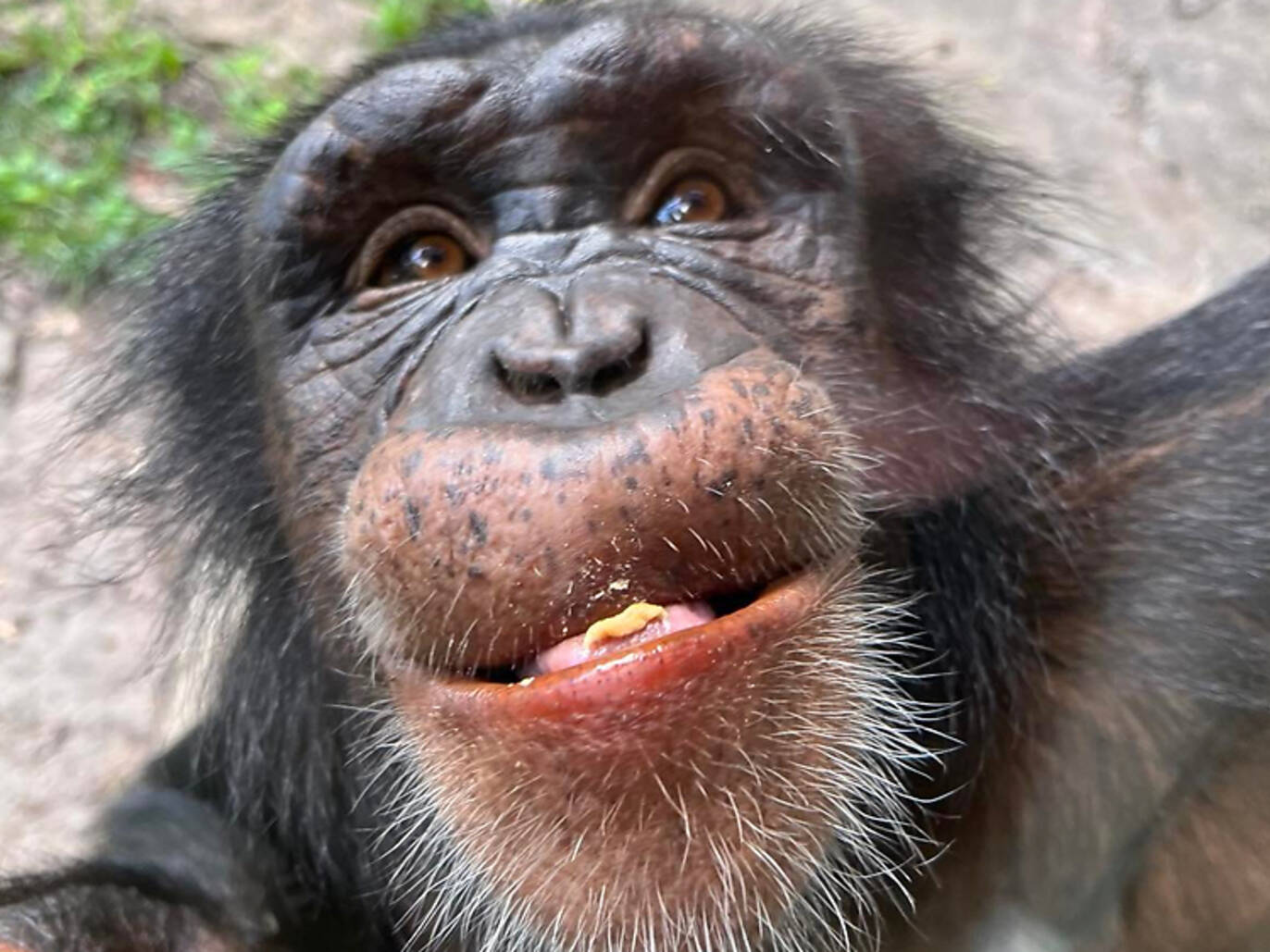 24 Best Zoos in the US