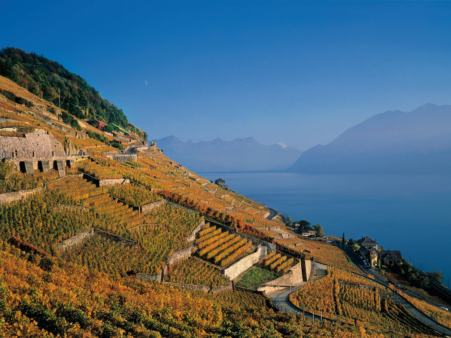 Time Out Switzerland – The best things to do in Zurich, Geneva…