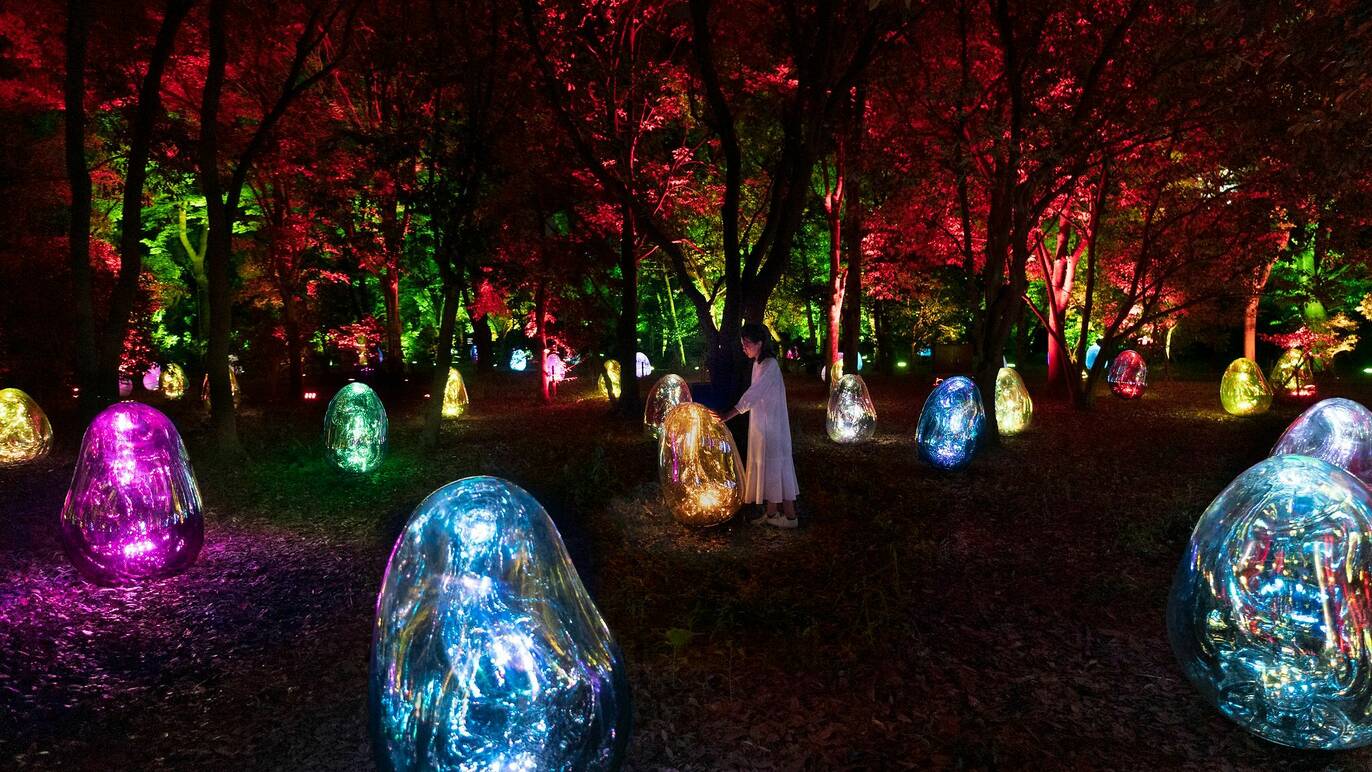 teamLab has taken over a botanical garden in Osaka and it looks surreal
