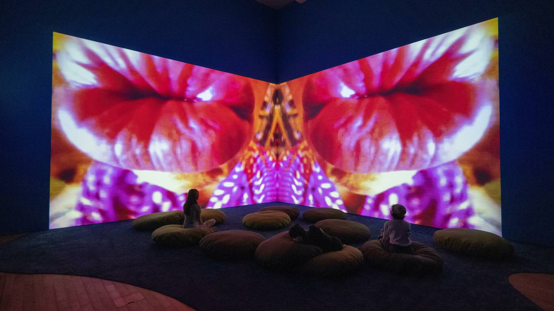 Behind Your Eyelid—Pipilotti Rist | Art in Hong Kong