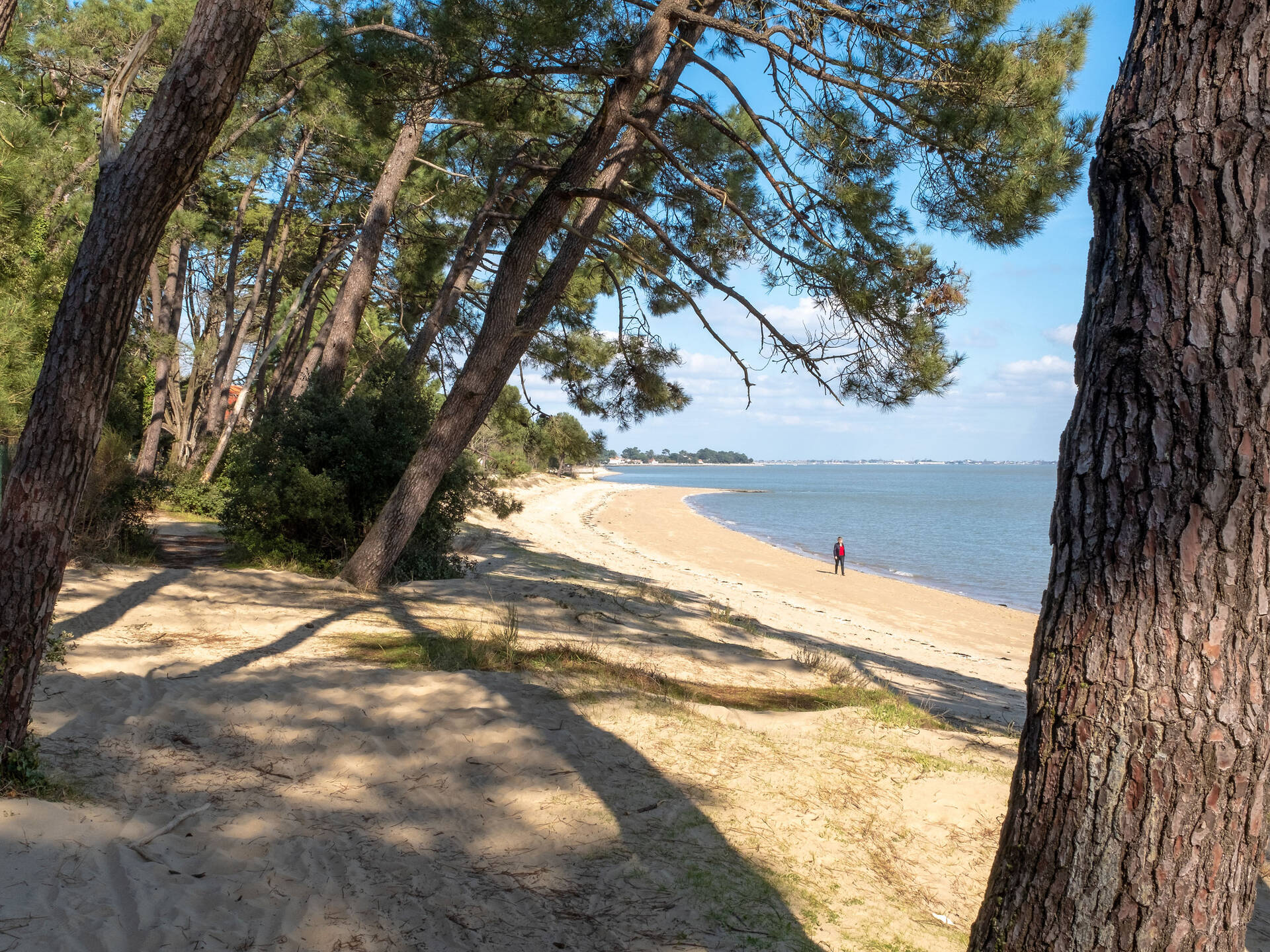 10 Best Beaches in France to Visit in 2024 According To An Expert