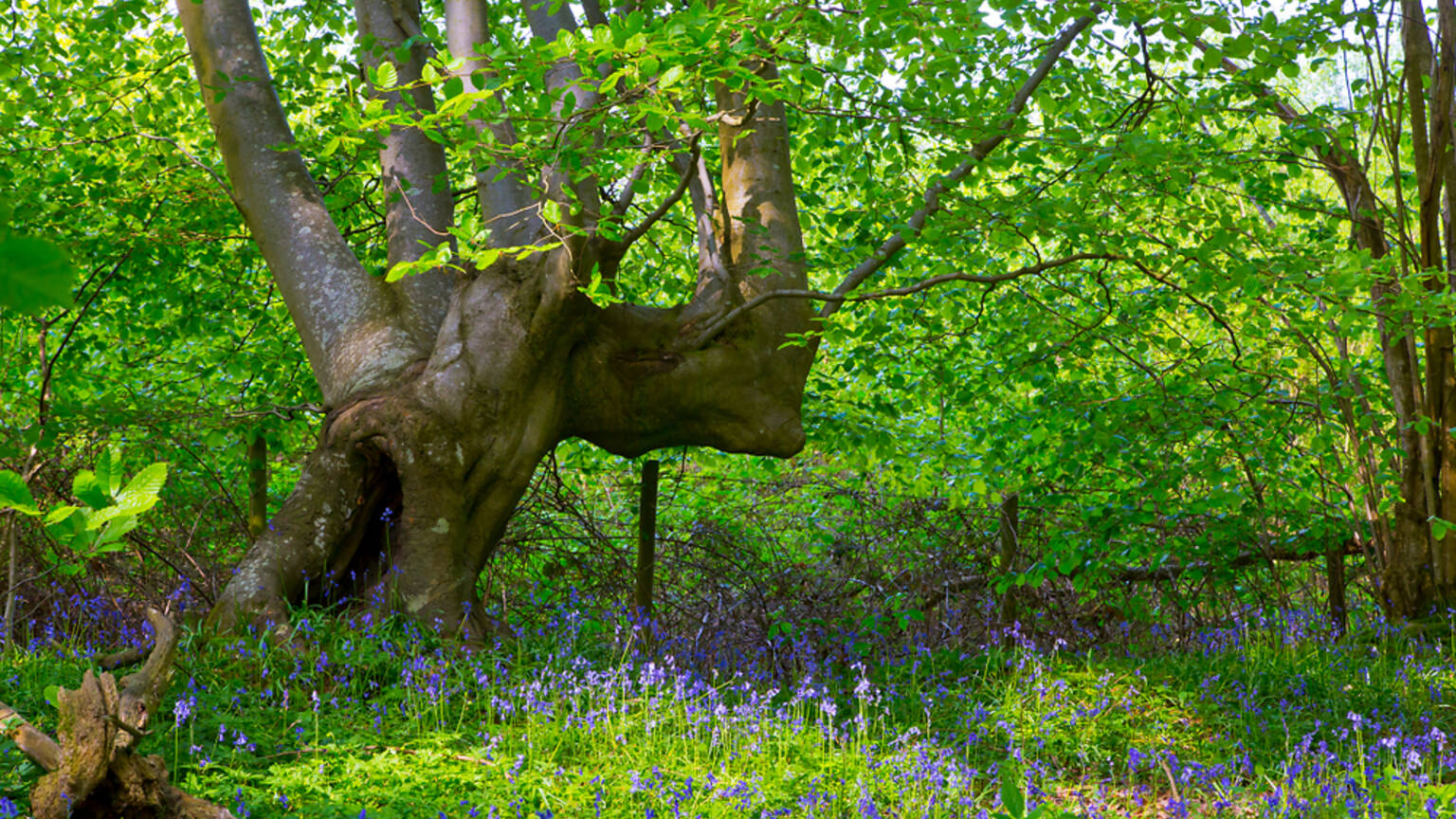 13 Best Things To Do in Canterbury Right Now