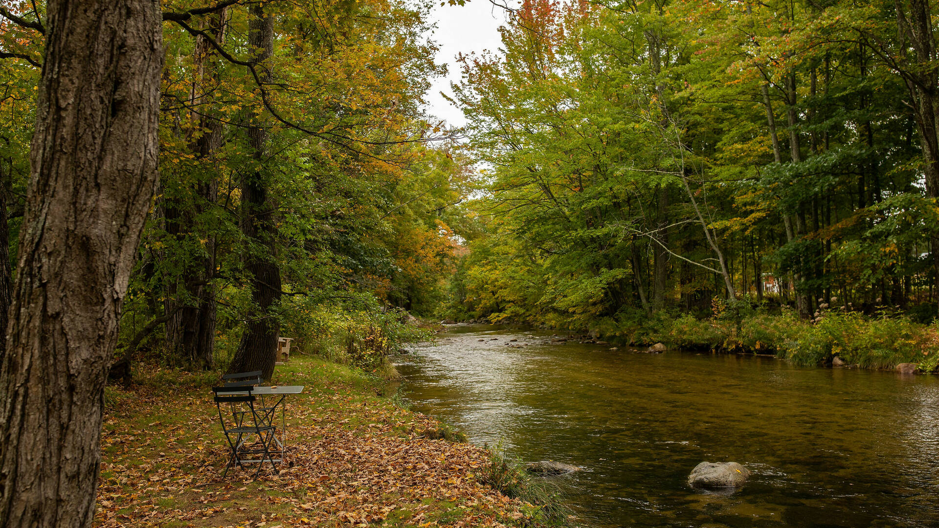 Fall Foliage Boston: 18 Best Leaf Peeping Spots in New England For Fall ...