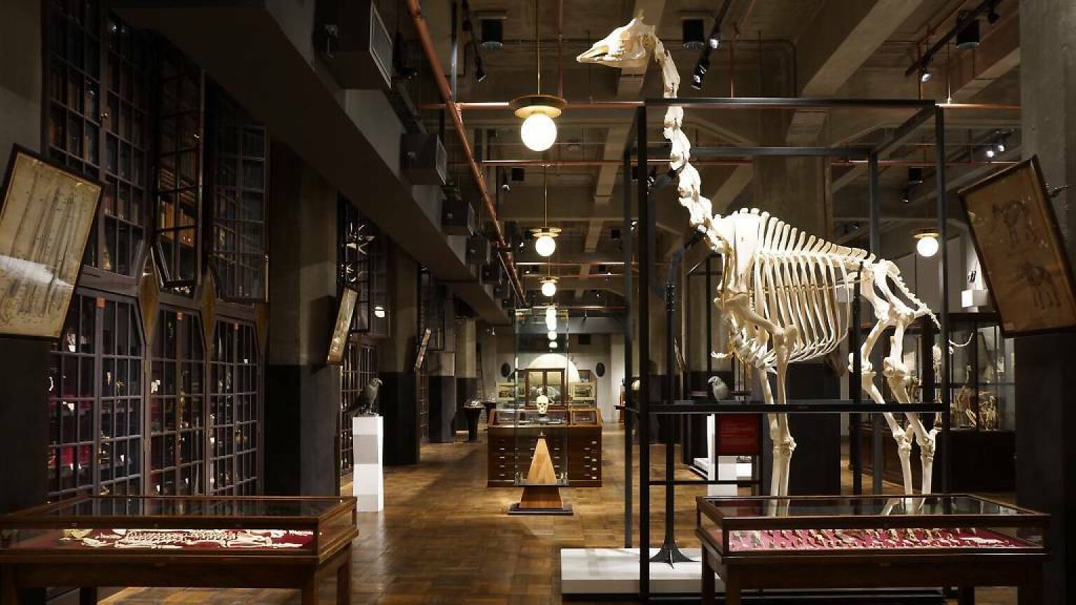 13 best free museums in Tokyo