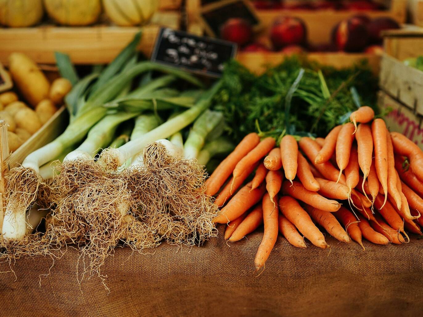 13 Best Farmers' Markets in Miami for a Perfect Weekend Morning