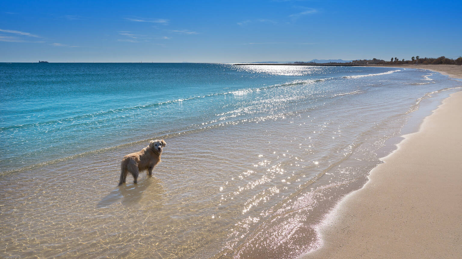 15 Best Beaches in Valencia