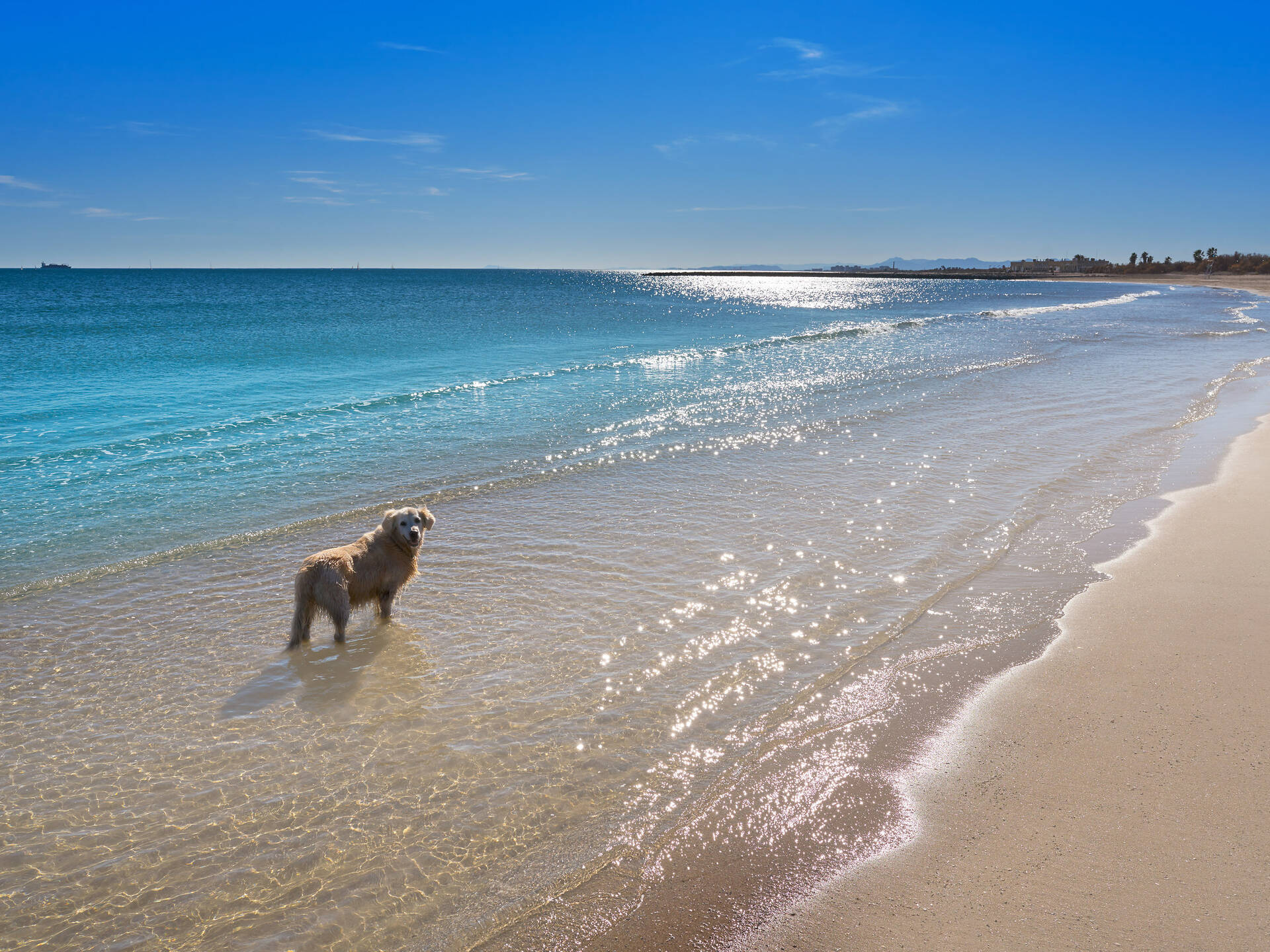15 Best Beaches in Valencia