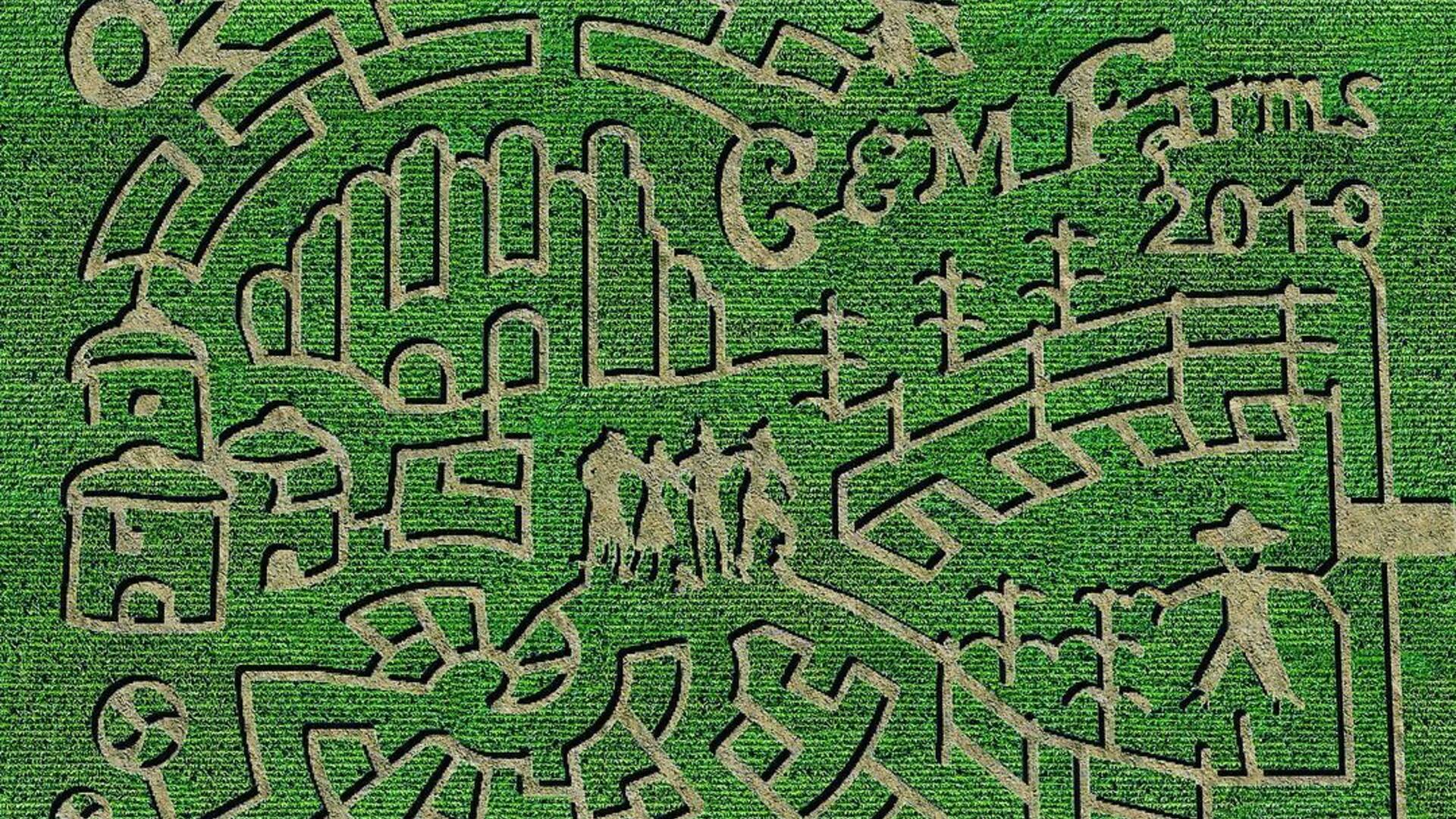 Best Corn Mazes in the Bay Area: 8 Fun and Spooky Mazes