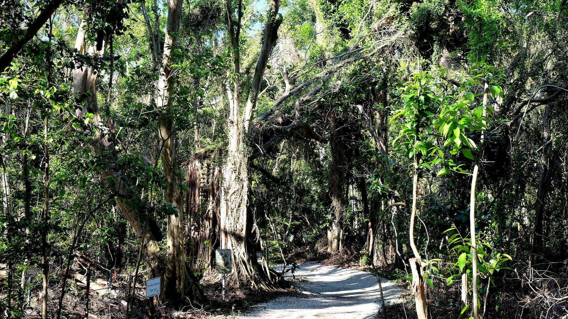 The Haunt at Tree Tops Park | Things to do in Miami