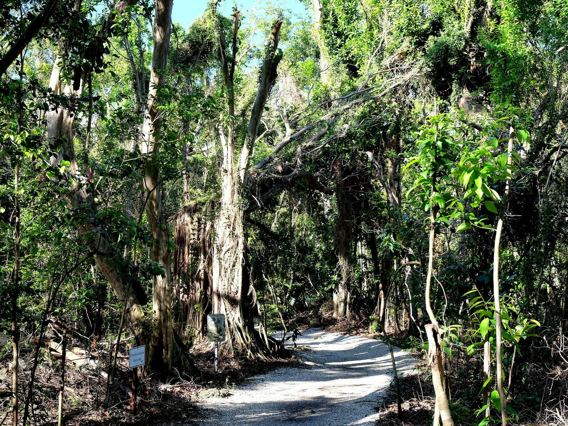 17 Best Parks in Miami for Fresh Air and Outdoor Fun