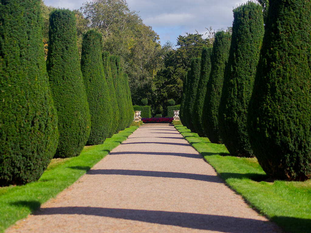 11 Best Things To Do in Wrexham Right Now