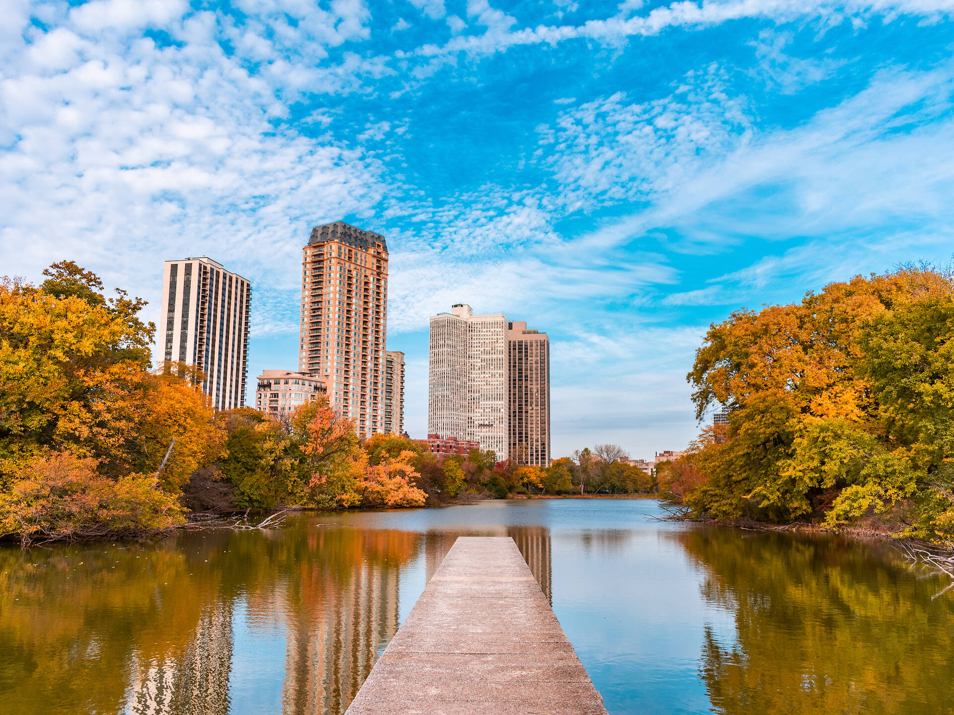 Fall Activities in Chicago: Best Things to Do in Autumn