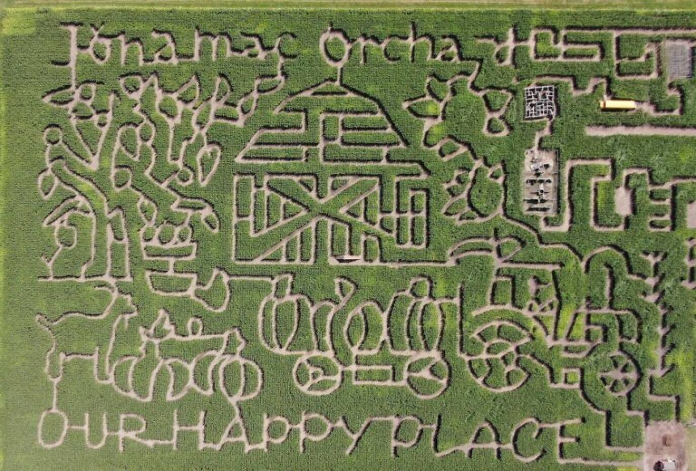 18 Best Corn Mazes Near Chicago That The Whole Family Will Enjoy