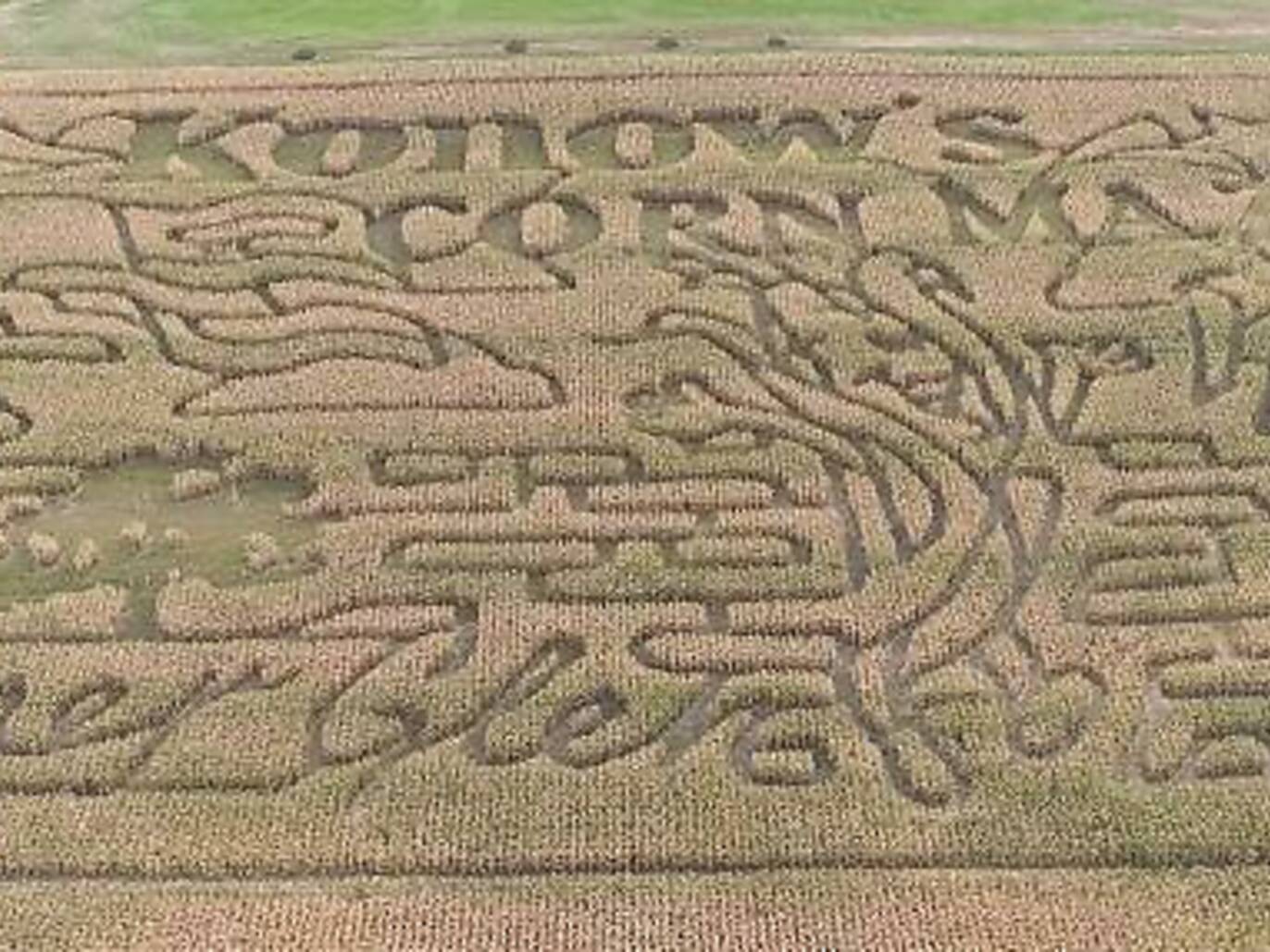 18 Best Corn Mazes Near Chicago That The Whole Family Will Enjoy
