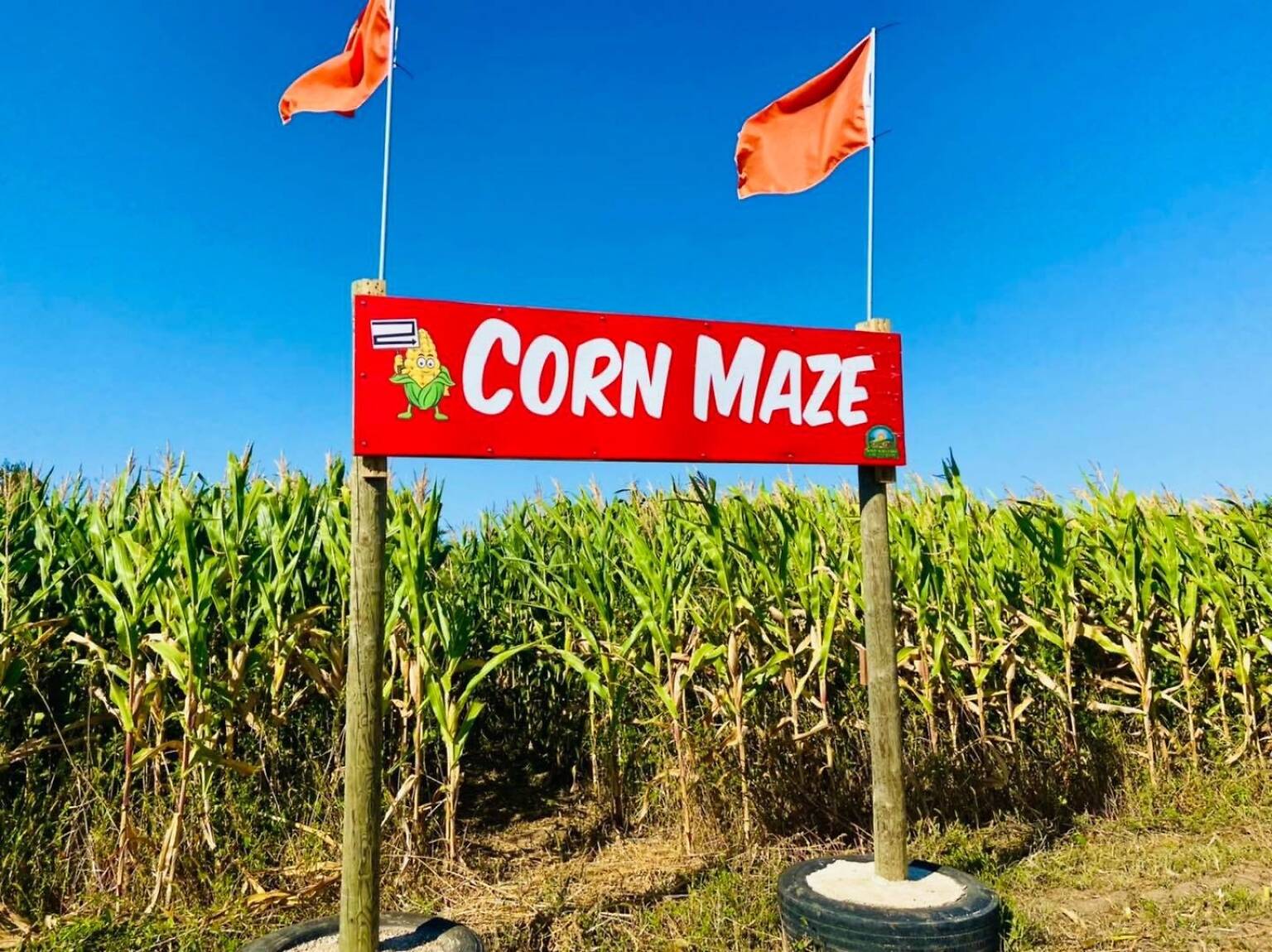 18 Best Corn Mazes Near Chicago That The Whole Family Will Enjoy