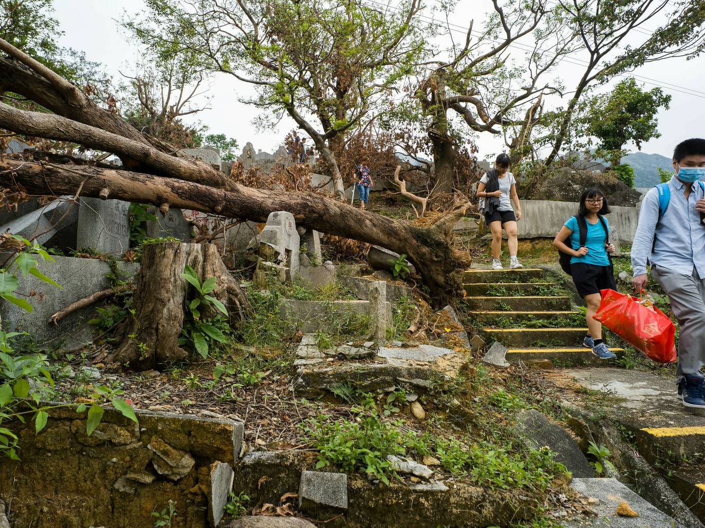 Hong Kong Typhoons: 15 Worst Typhoons In Hong Kong History
