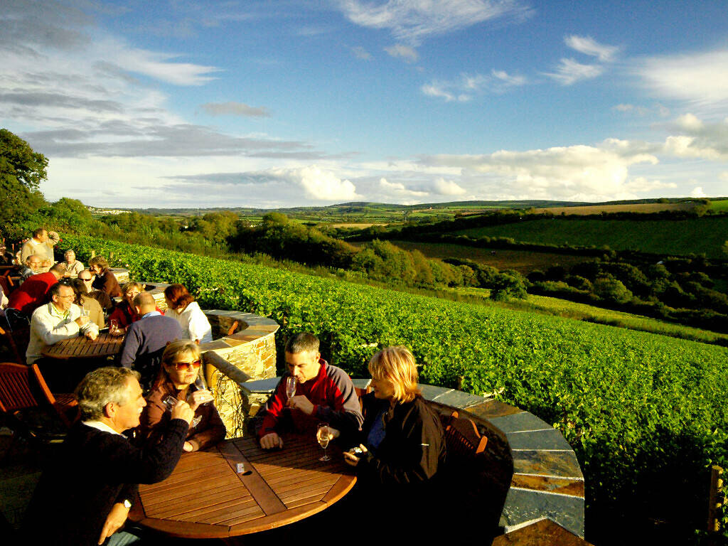 12 Best Vineyards in England & Wales to Explore