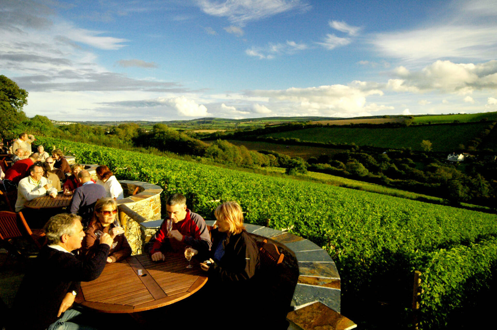 12 Best Vineyards in England & Wales to Explore
