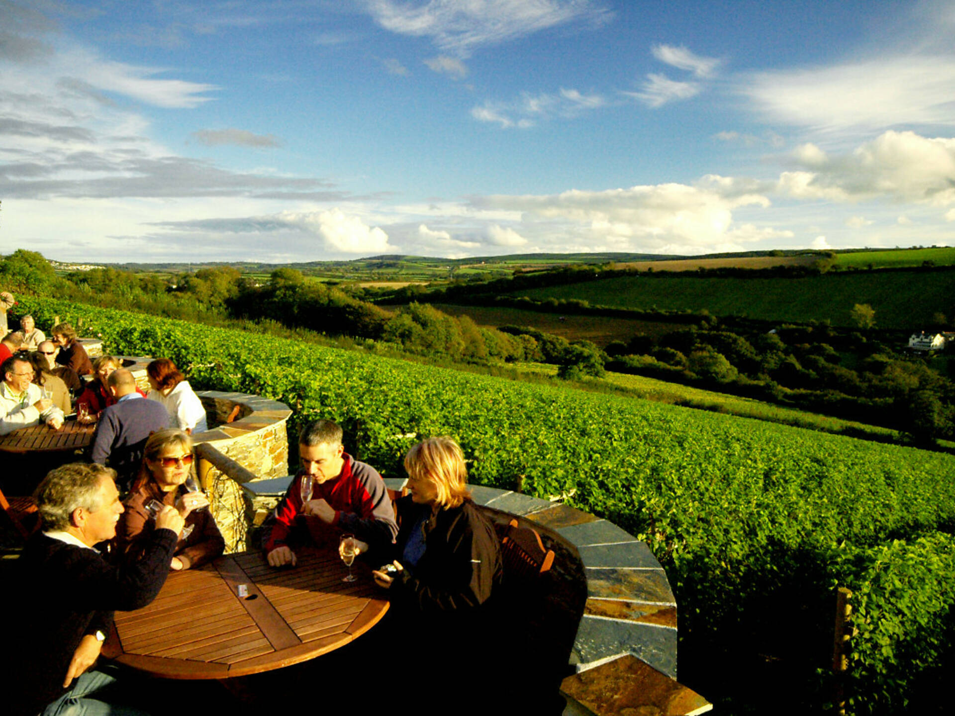 12 Best Vineyards in England & Wales to Explore