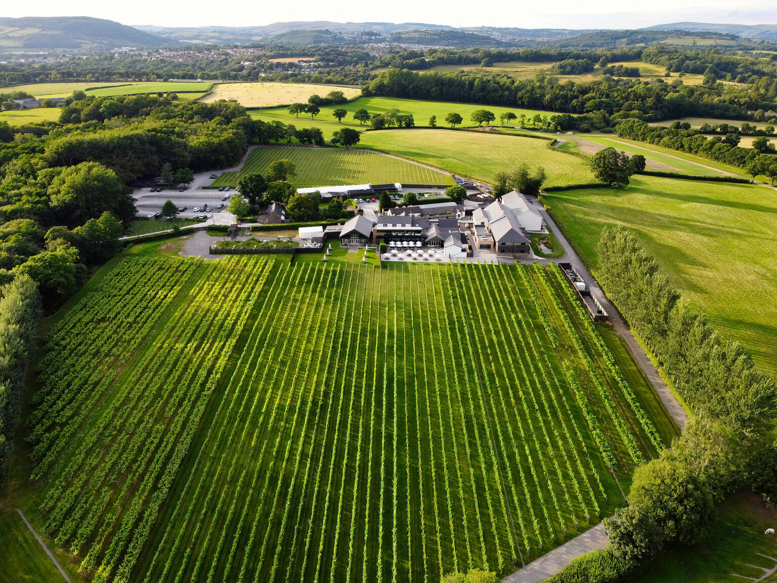 12 Best Vineyards in England & Wales to Explore