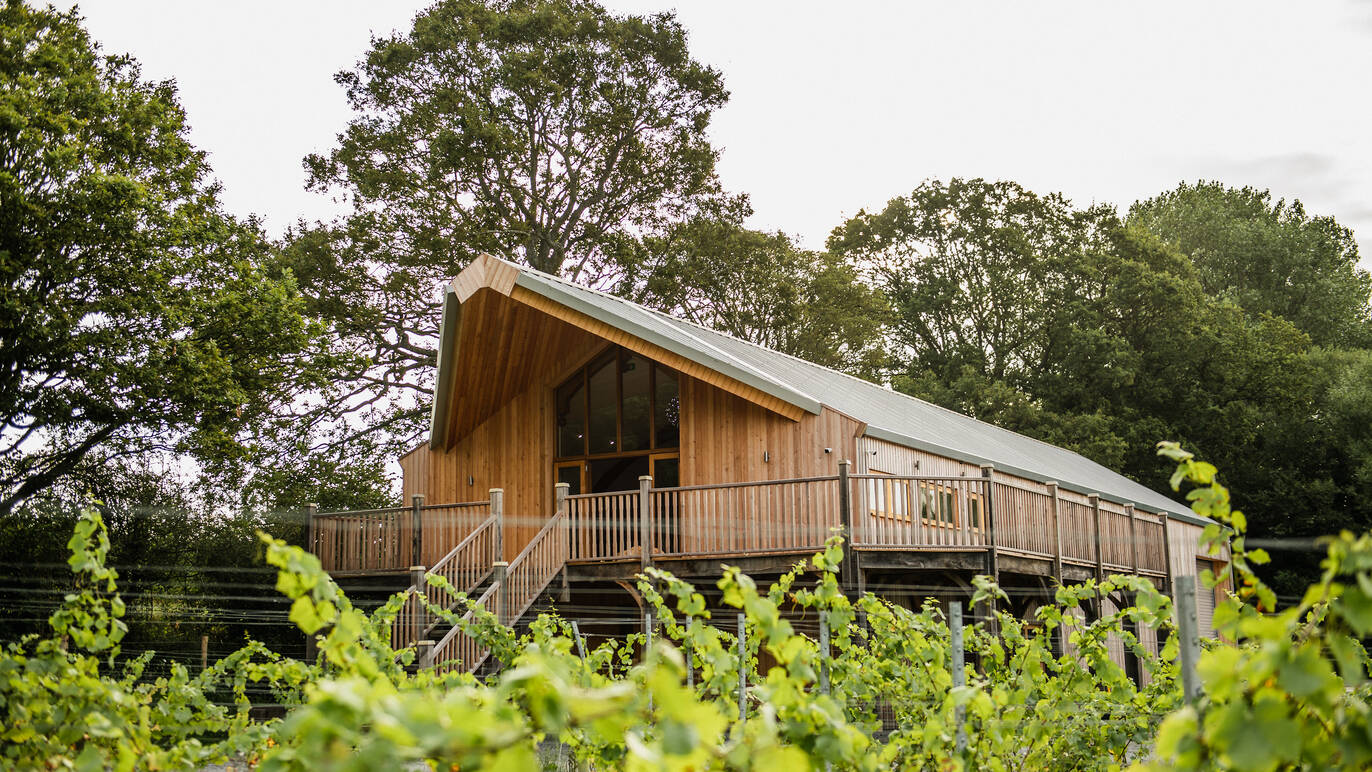 12 Best Vineyards in England & Wales to Explore