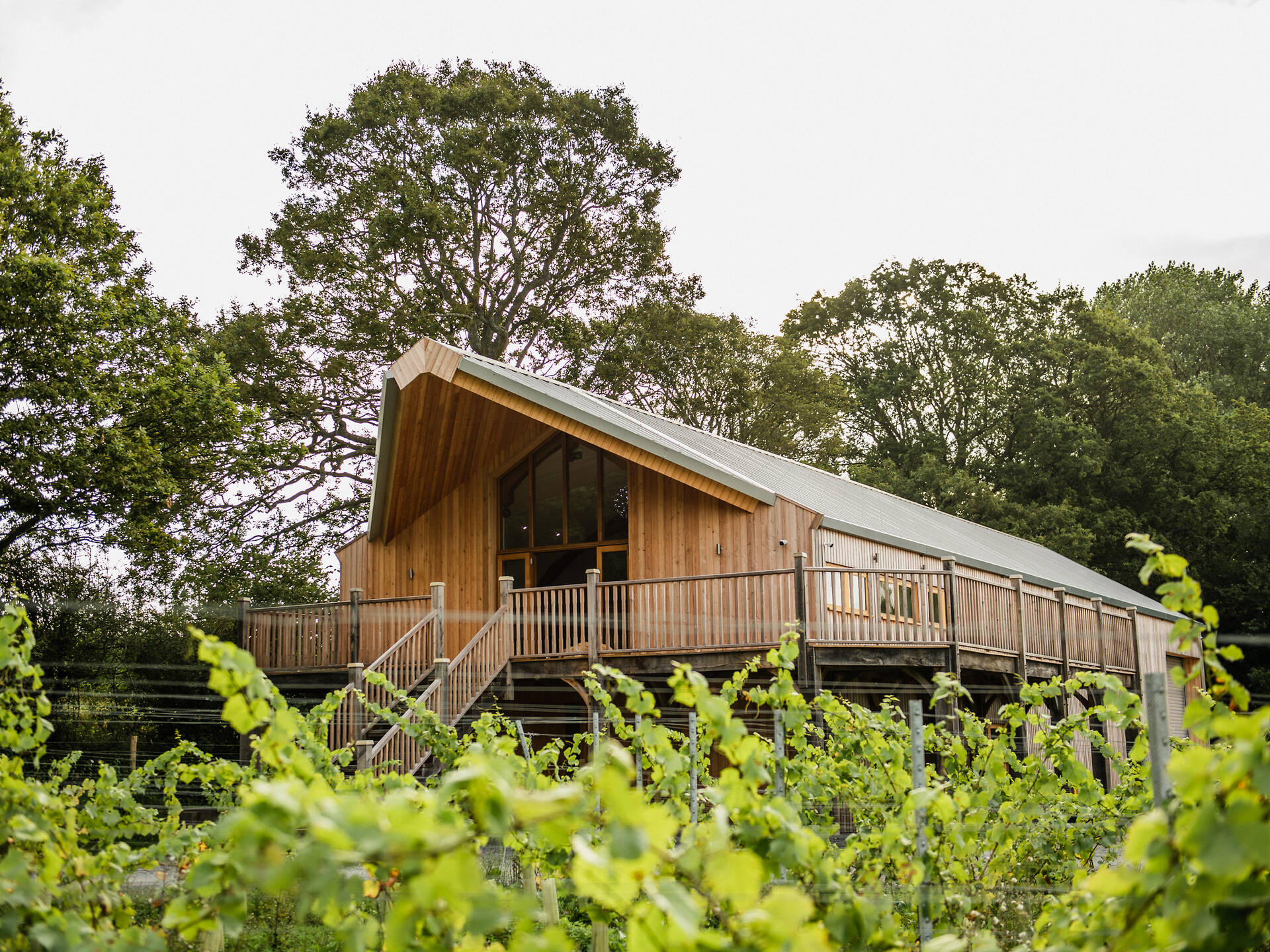 12 Best Vineyards in England & Wales to Explore