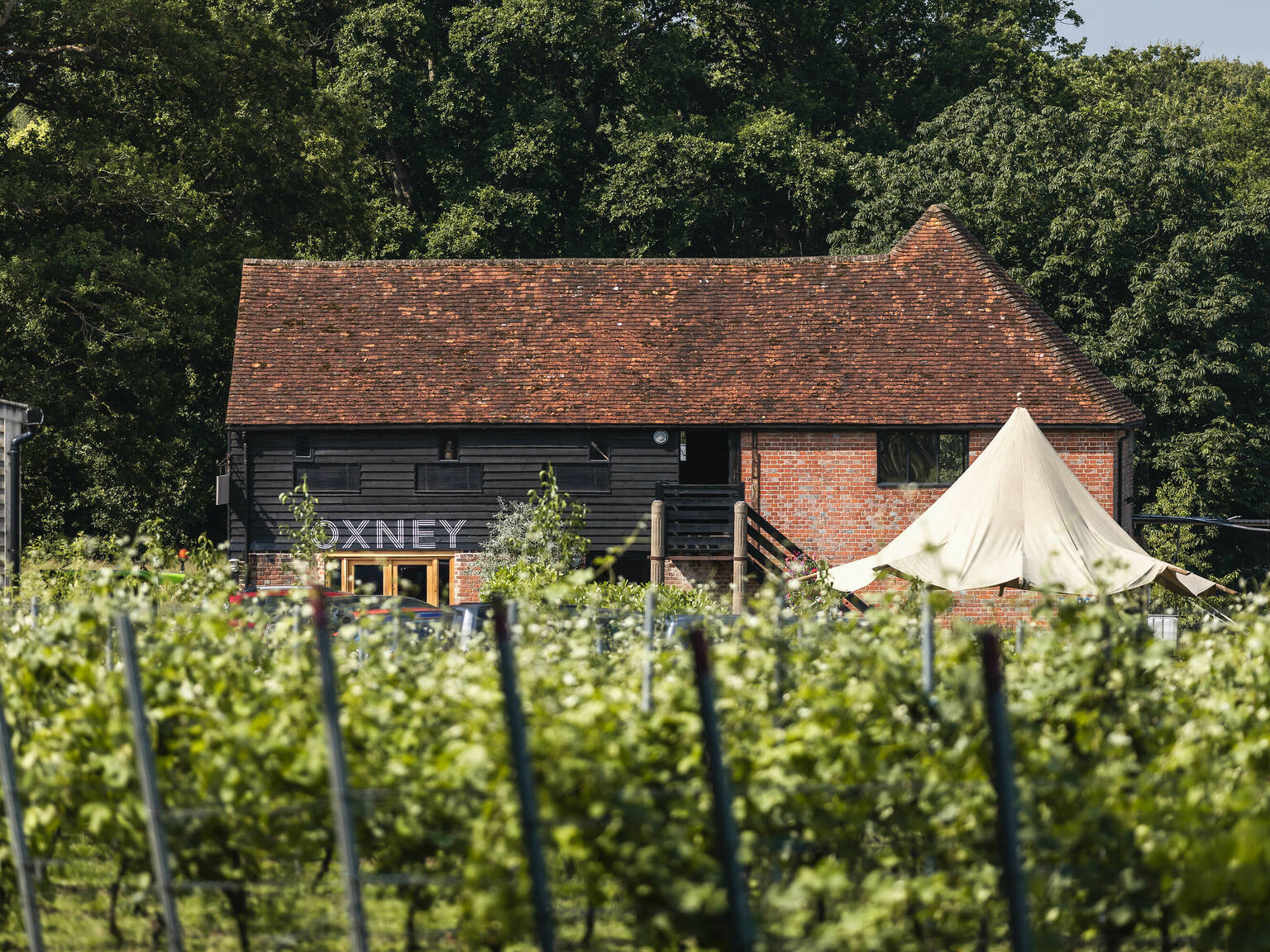 12 Best Vineyards in England & Wales to Explore