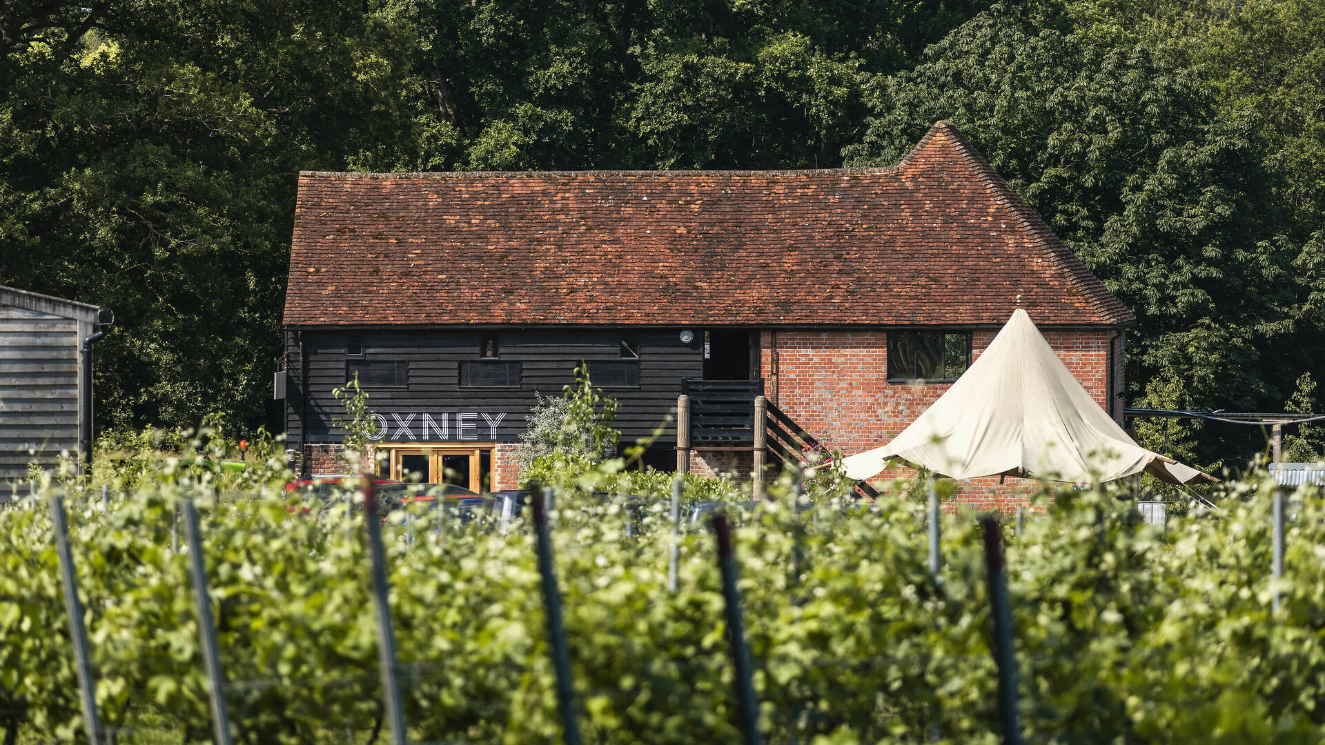 12 Best Vineyards in England & Wales to Explore