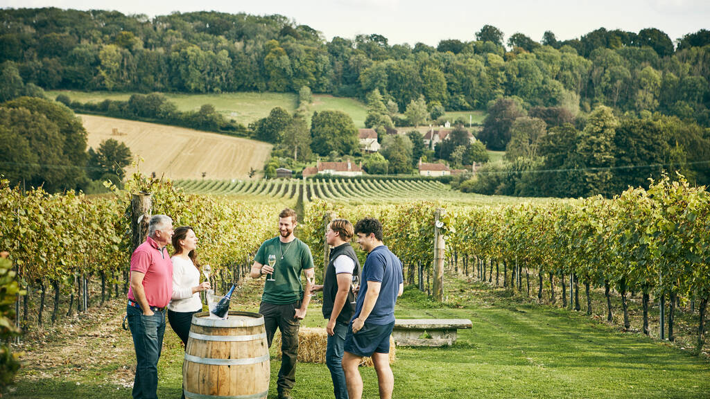 12 Best Vineyards in England & Wales to Explore
