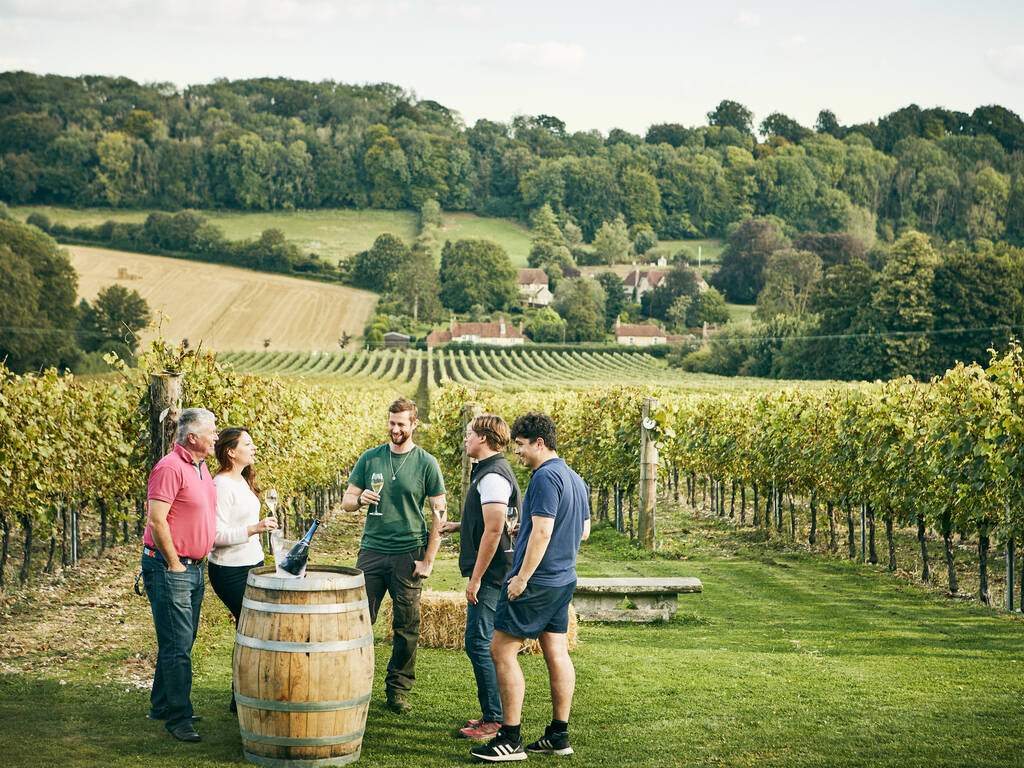12 Best Vineyards in England & Wales to Explore