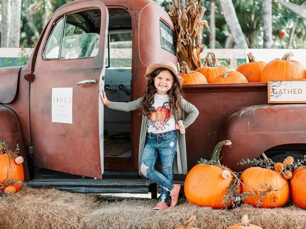 Tinez Farms Fall Festival | Things to do in Miami