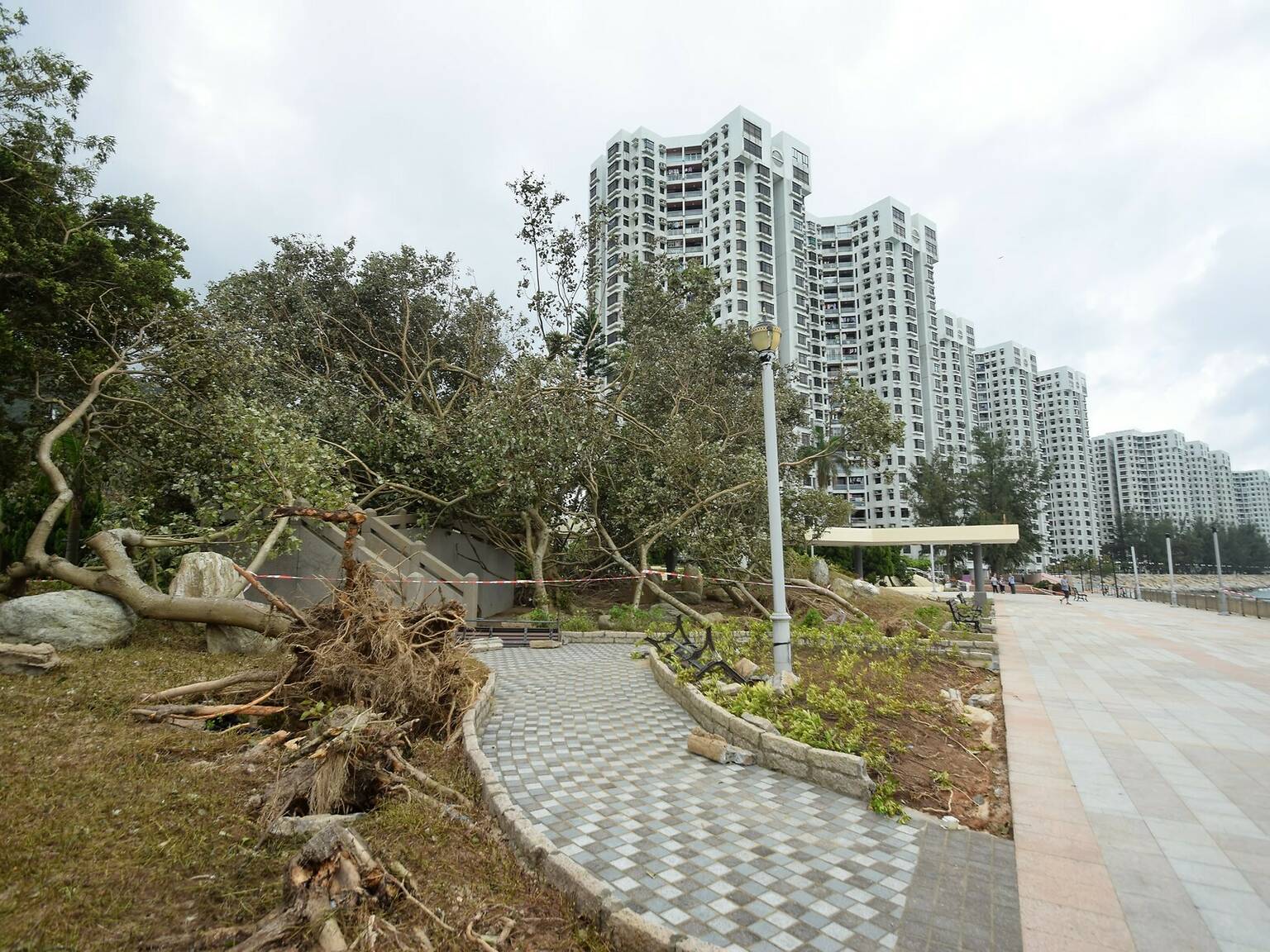 Hong Kong Typhoons: 15 Worst Typhoons In Hong Kong History