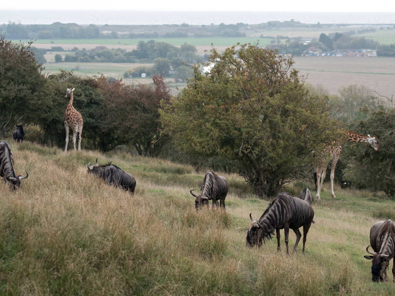 15 Best Things To Do in Kent | Incredible Attractions in Kent