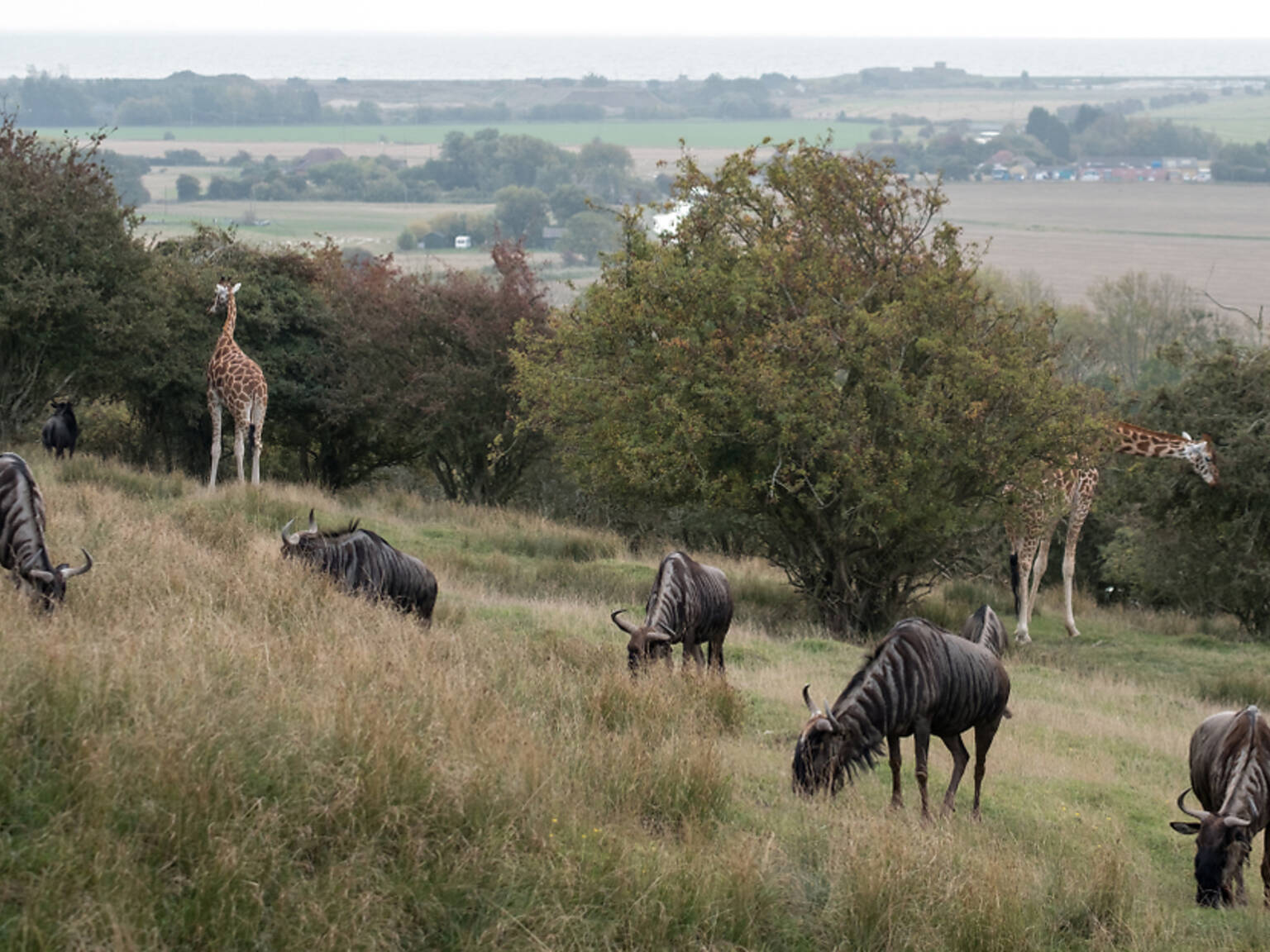 15 Best Things To Do in Kent | Incredible Attractions in Kent