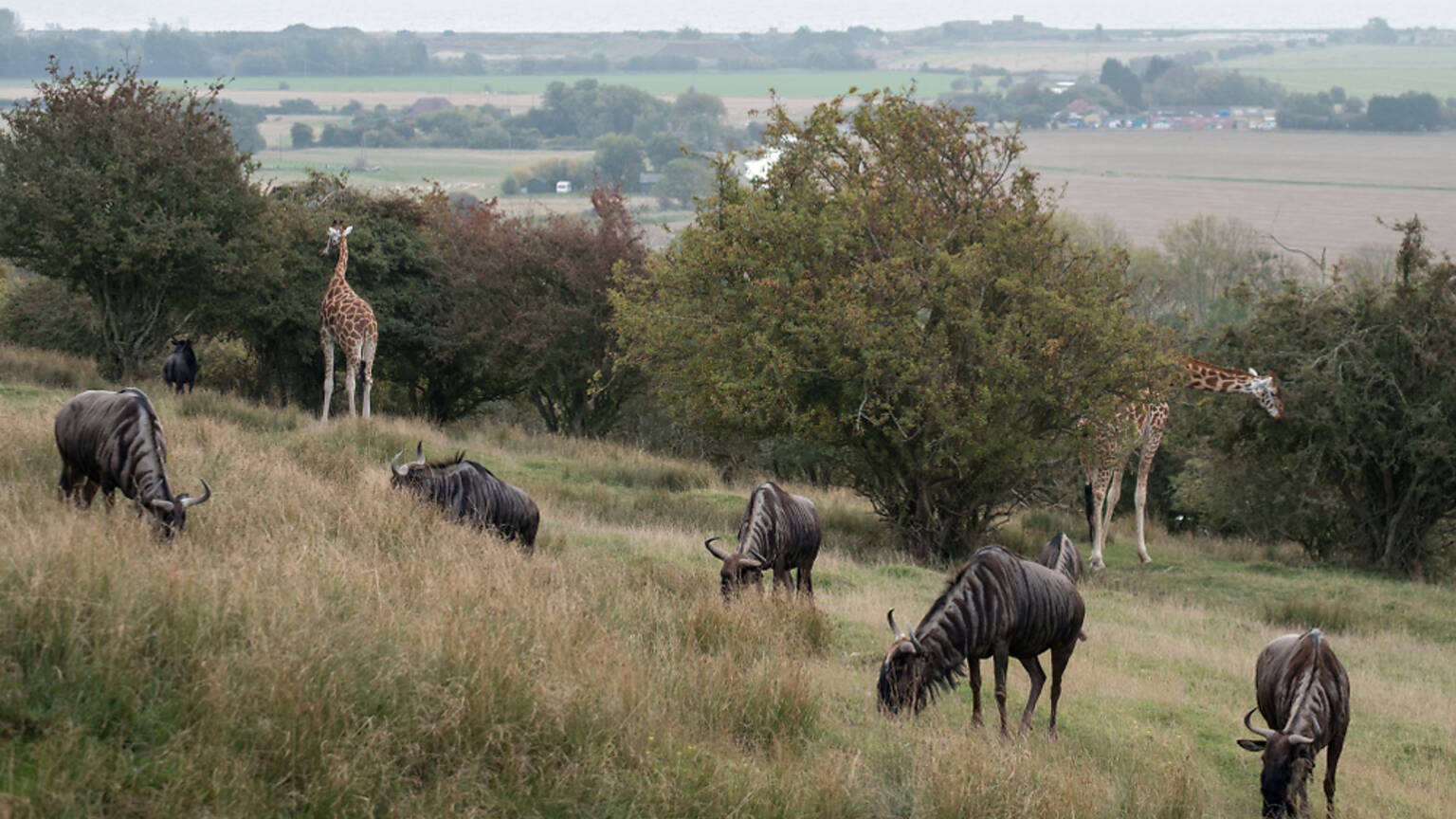15 Best Things To Do in Kent | Incredible Attractions in Kent