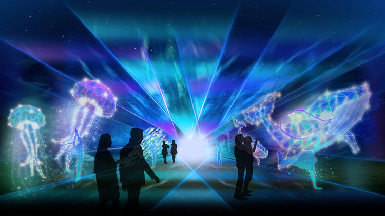 Tokyo Lights | Things to do in Tokyo