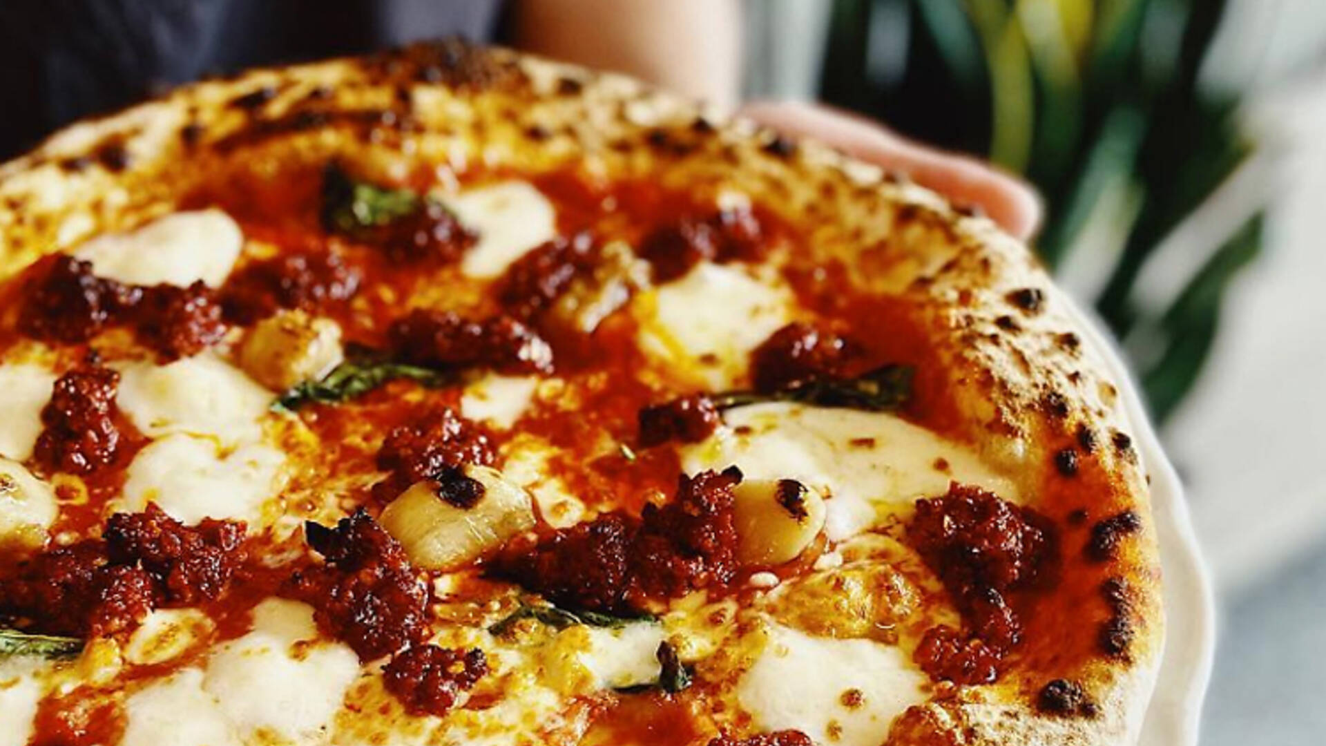 15 Best Italian Restaurants in Toronto for Delectable Pasta