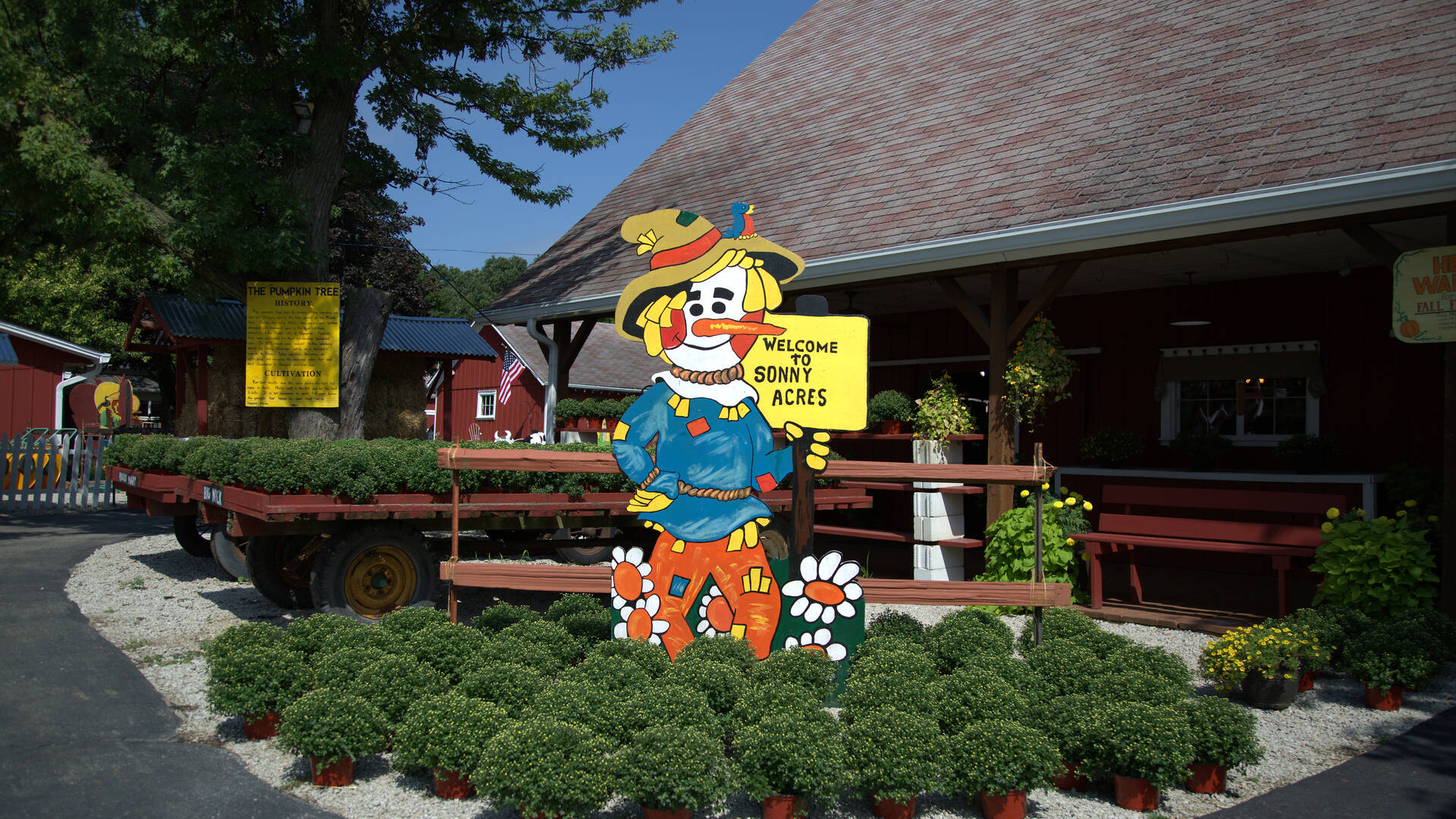 28 Best Pumpkin Patches to Visit Near Chicago This Fall 2024