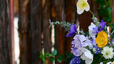 10 Best Flower Shops in Austin For All Your Floral Needs