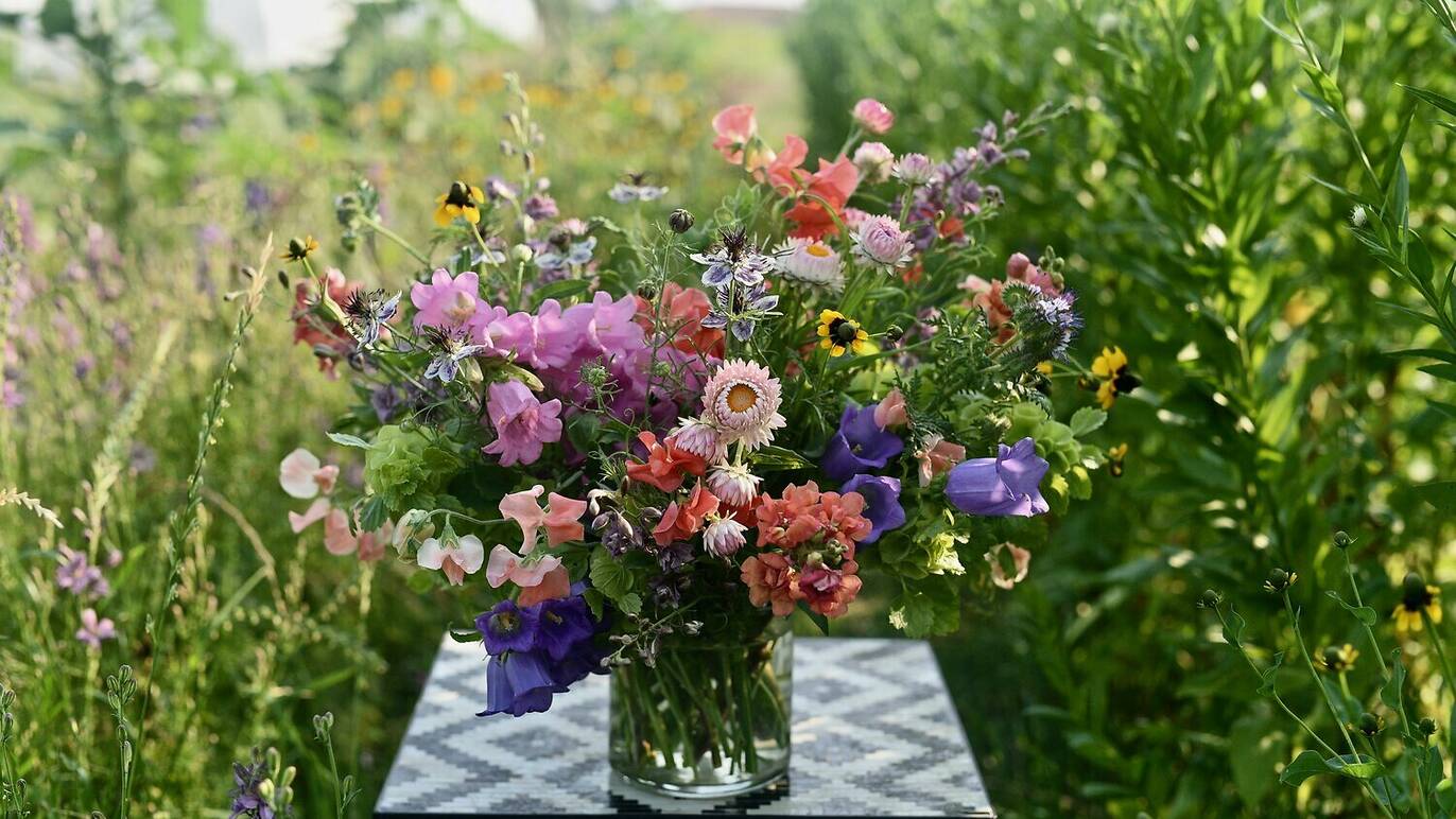 11 Best Flower Shops in Austin to Visit for Any Occasion