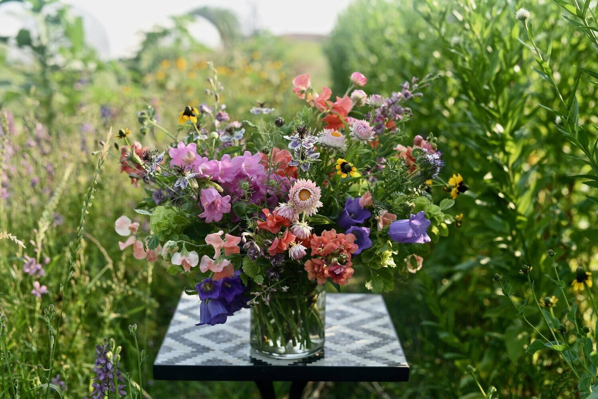 Guide to Austin, Including Events, Activities and Things to Do